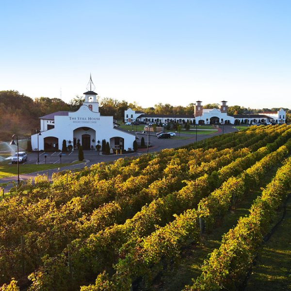 Fall in Love with Gervasi Vineyard Resort and Spa: A Piece of Tuscany ...