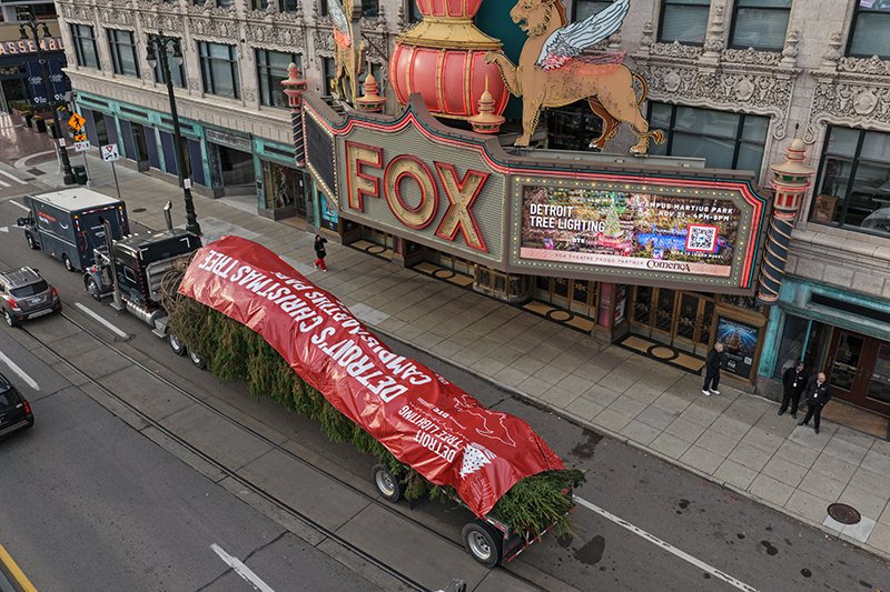 GALLERY: Detroit's Christmas Tree Arrives in Campus Martius Park